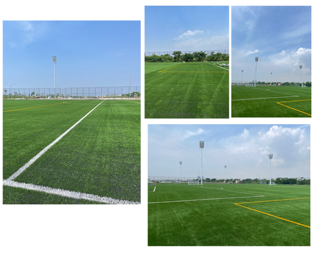 Verde Sports Hub